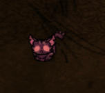 饥荒浣猫年小猫遗失找回方法 - 哔哩哔哩