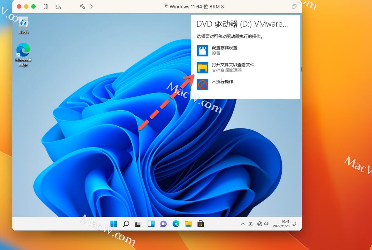 M用户使用VM虚拟机安装win11连不上网，怎么解决 - 哔哩哔哩