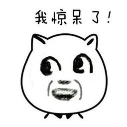 【CS：GO】FG宣布解散，CNCS 前路多难！ - 哔哩哔哩