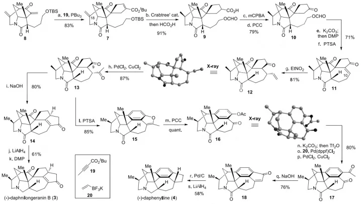 Angew：北大、兰大团队虎皮楠生物碱(-)-Daphnilongeranin B和(-)-Daphenylline的合成 - 哔哩哔哩