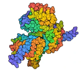 PARP蛋白及其检测方法-BPS Bioscience - 哔哩哔哩