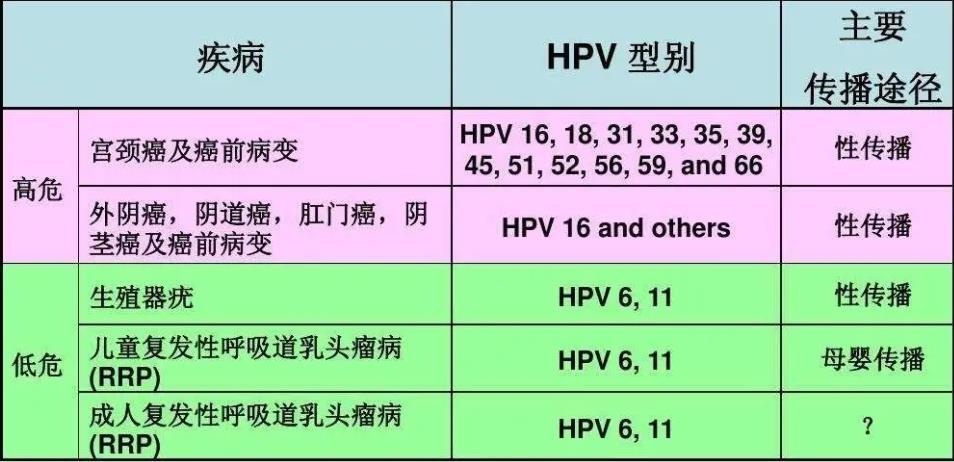 HPV56会长疣体吗？李景坤医生这样解读 - 哔哩哔哩