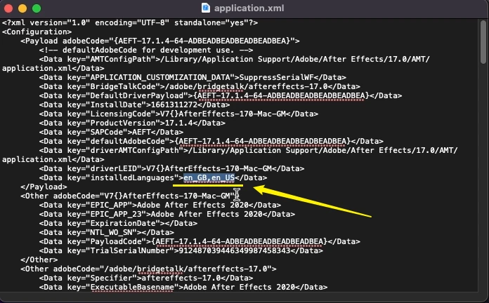 2023最新版Adobe After Effects Win/Mac中英文切换方法汇总 - 哔哩哔哩