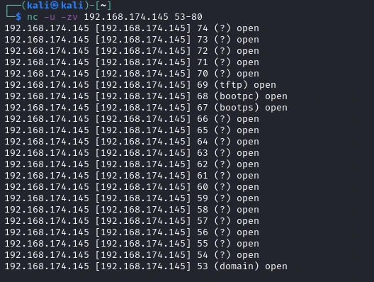 nc工具！Netcat：TCP/IP瑞士军刀！全参数详细教程！Kali Linux教程！ - 哔哩哔哩