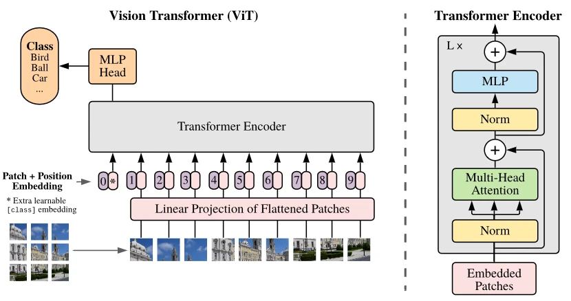 ViLT: 没有卷积和区域监督的视觉-语言Transformer模型 - 哔哩哔哩
