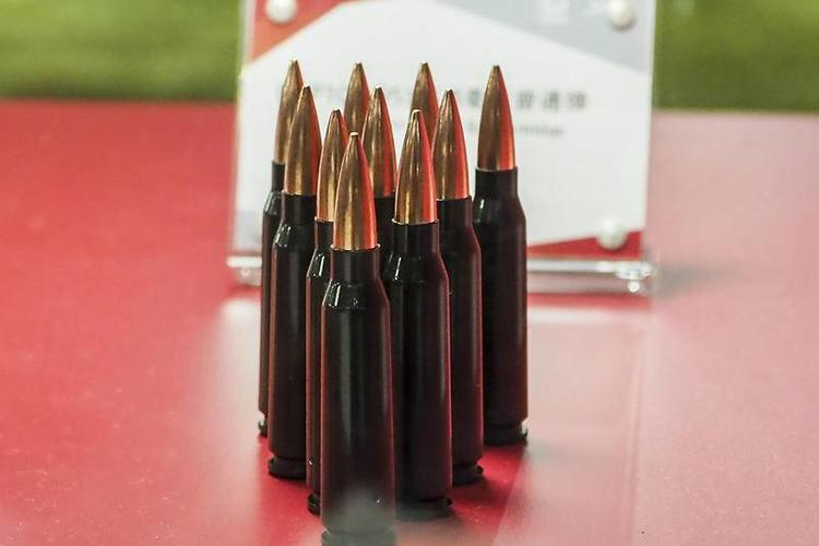 “九枪合一”的5.8mm DBP10普通弹是啥？DVP88重弹又是个啥？ - 哔哩哔哩