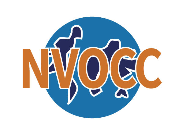 无船承运人NVOCC备案办理流程 - 哔哩哔哩