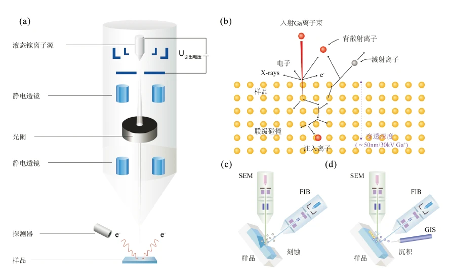 详细解读——FIB-SEM技术(聚焦离子束)丨制备透射电镜(TEM)样品 - 哔哩哔哩
