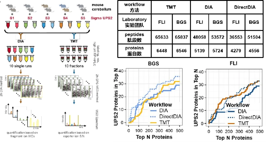 全网最详细 | TMT、LFQ和DIA傻傻分不清？一文读懂三者区别和应用 - 哔哩哔哩