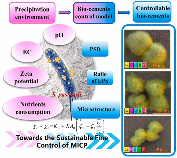 “生物水泥”的精细化调控技术 - 哔哩哔哩