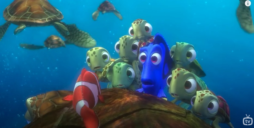 Learn Enligh with Find Nemo - 哔哩哔哩