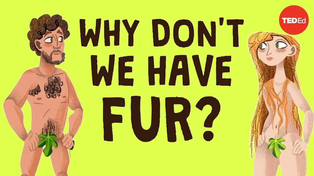 【目录】TED-ED 【英文CC字幕】| 2021年 5月-9月【包含封面】 - 哔哩哔哩