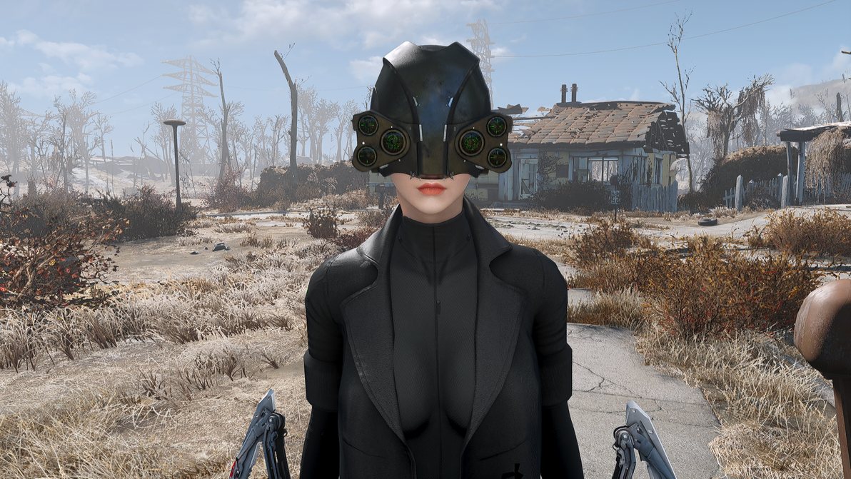 【辐射4】MOD(Bodyslide / ENB)的前置步骤&教学 - 哔哩哔哩