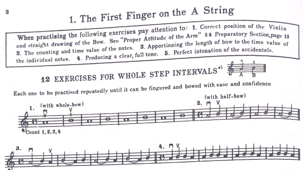 Violin D29 - 哔哩哔哩