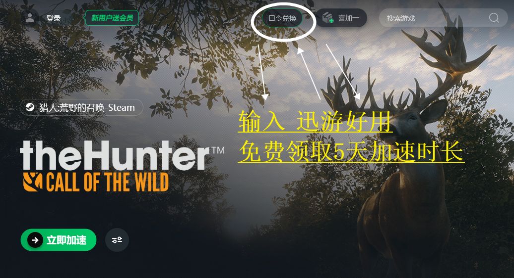 猎人荒野的召唤闪退 掉线 黑屏 游戏崩溃 报错解决办法 哔哩哔哩