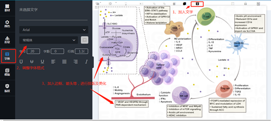 傻瓜式操作的科研绘图神器Figdraw，实现绘图自由就靠它了！ - 哔哩哔哩