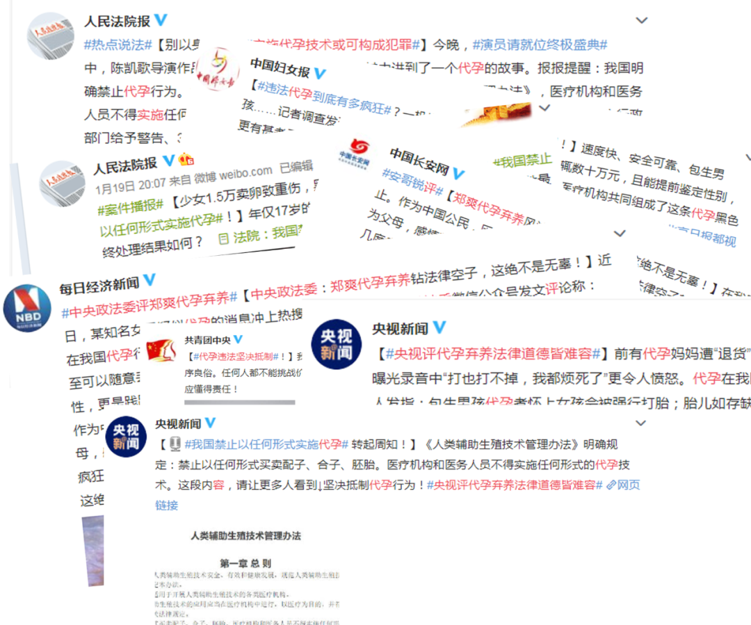 关于爆热的“代孕”,你必须知道这些事 哔哩哔哩