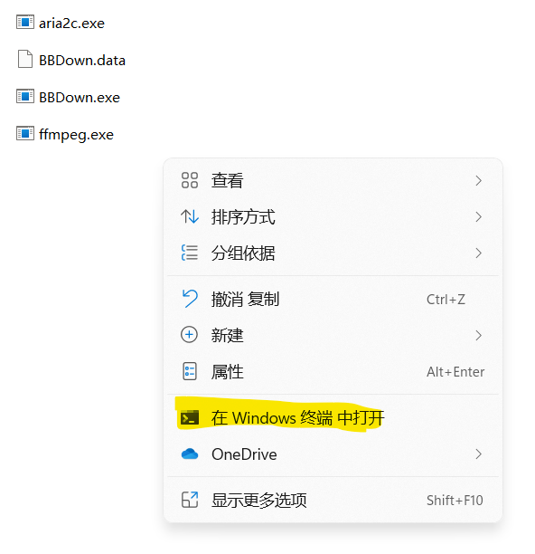 使用 BBDown 下载哔哩哔哩视频的简要步骤 - 哔哩哔哩
