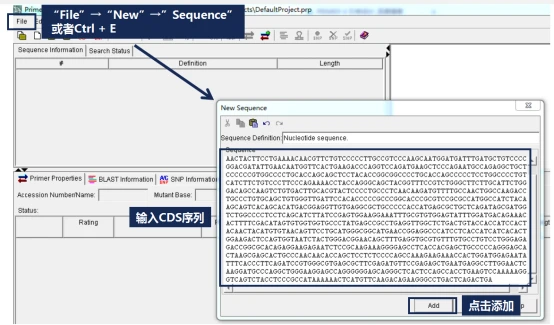 Primer Premier 6，3分钟教你完成引物设计（含软件安装） - 哔哩哔哩