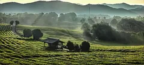 c4d格式可以转化成3dmax格式吗? - 哔哩哔哩