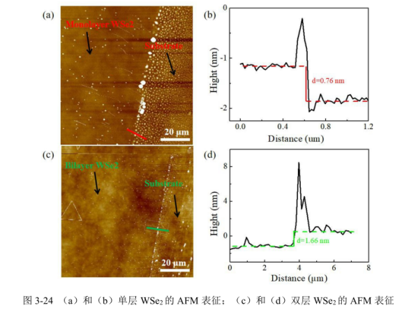 Si/SiO2衬底CVD-WSe2单层薄膜;蓝宝石衬底二硒化钨薄膜齐岳生物 - 哔哩哔哩
