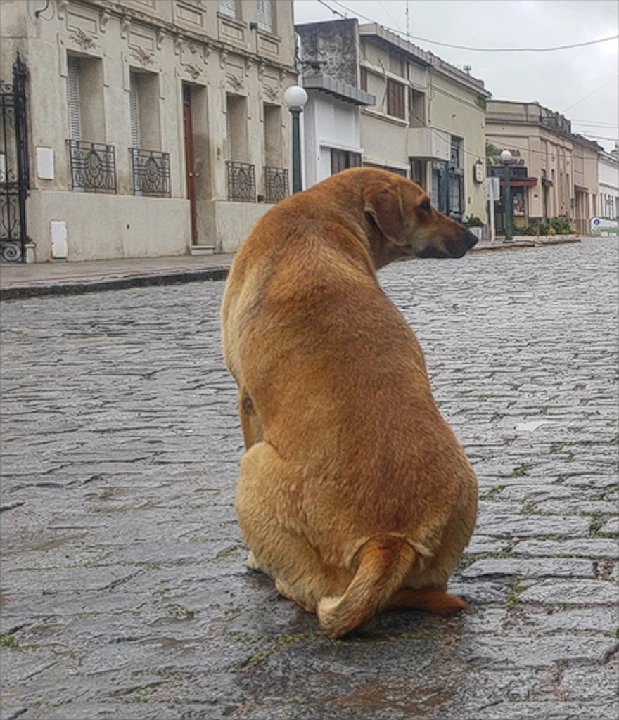 AMD FidelityFX CAS - 哔哩哔哩