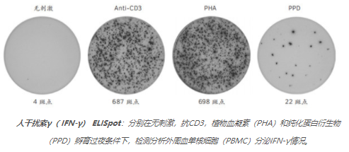 ELISpot实验步骤与原理示意图分析，及相关试剂盒推荐 - 哔哩哔哩