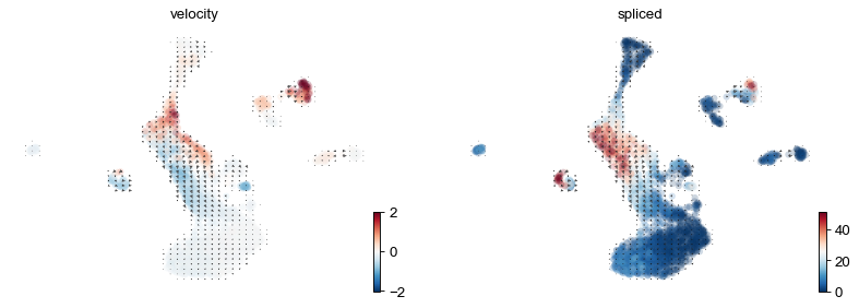 【单细胞测序】RNA velocity：scVelo 应用（三） - 哔哩哔哩