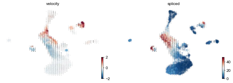 【单细胞测序】RNA velocity：scVelo 应用（三） - 哔哩哔哩
