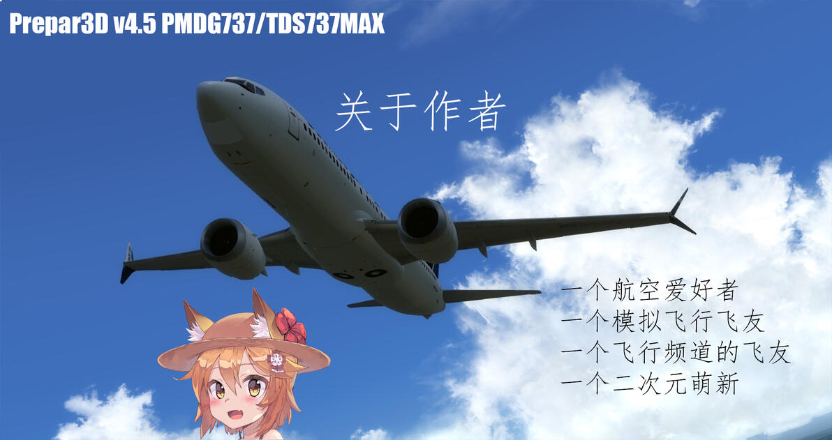 [B站最全的专业模拟飞行入门导航][软件详细介绍与下载]P3D-01：不是游戏，是模拟器。 - 哔哩哔哩