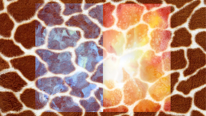 【UnityShader】Blend混合模式 与 20余种颜色混合模式代码实现（多图预警） - 哔哩哔哩