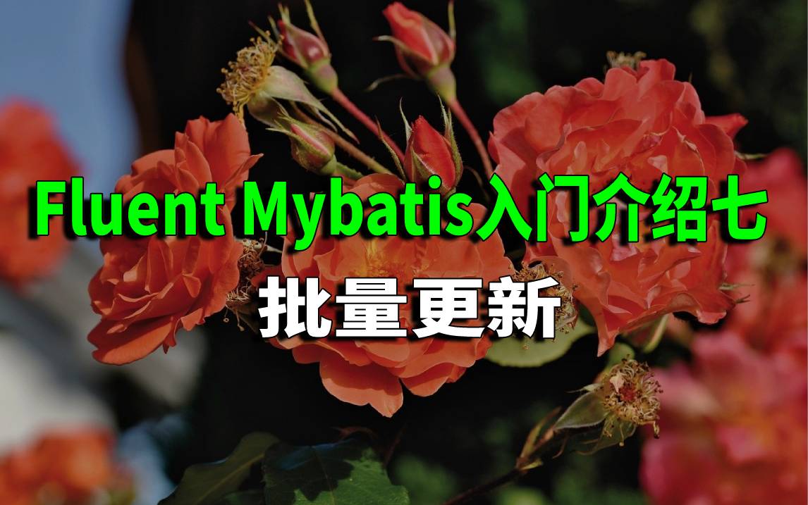 Fluent Mybatis入门介绍七：批量更新 - 哔哩哔哩