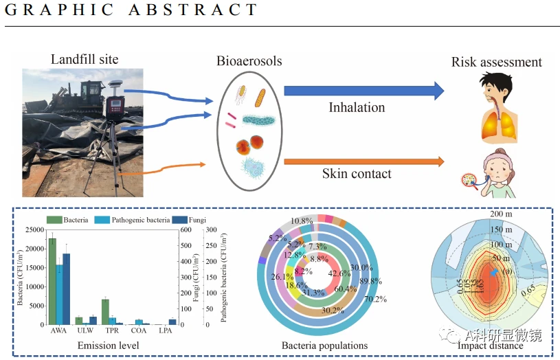 这样做出来的高质量图文摘要（Graphic abstract），才能成为SCI论文的加分项！ - 哔哩哔哩
