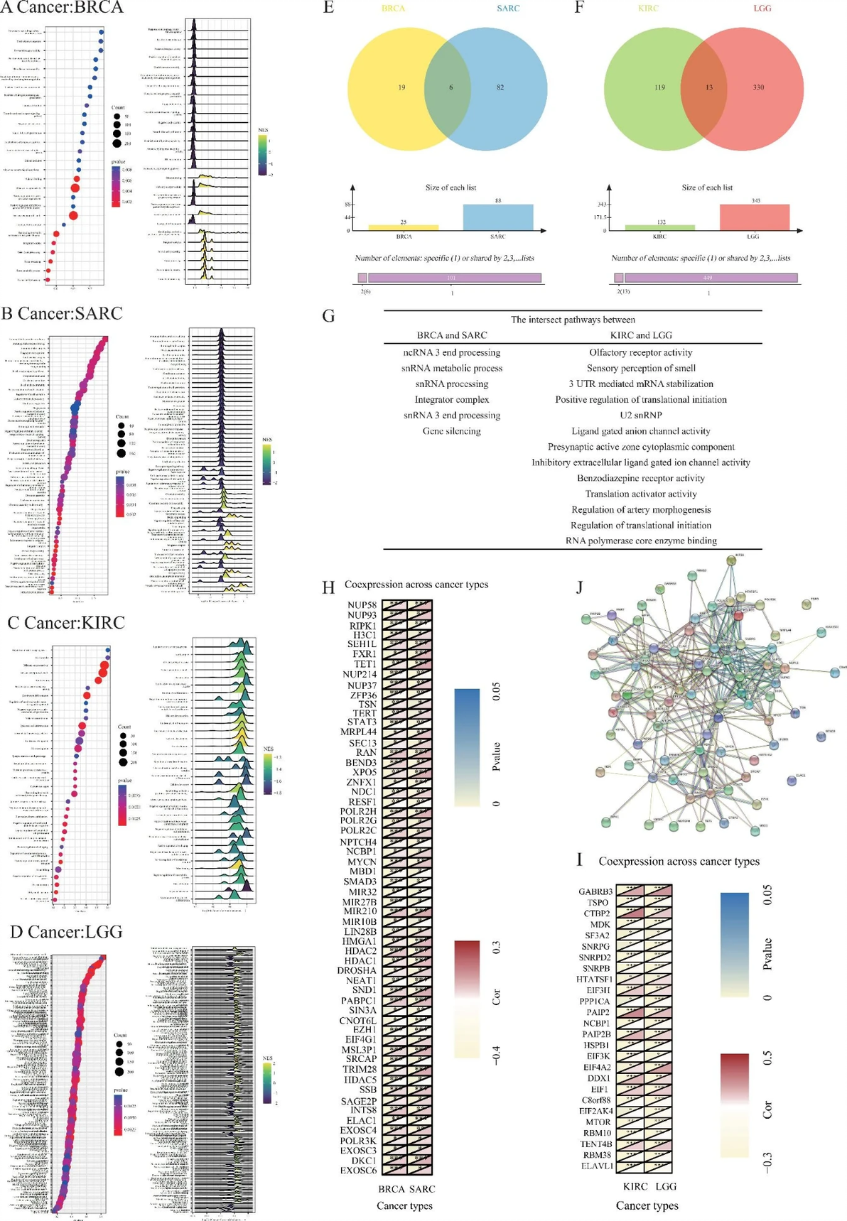 单个蛋白的纯生信如何上37+！！！ UCSC Xena数据库玩出了新高度！ - 哔哩哔哩