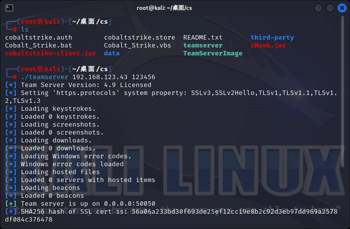 Cs4.9下载及使用 - 哔哩哔哩