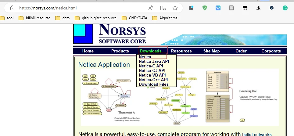 Netica 官网下载安装 - 哔哩哔哩