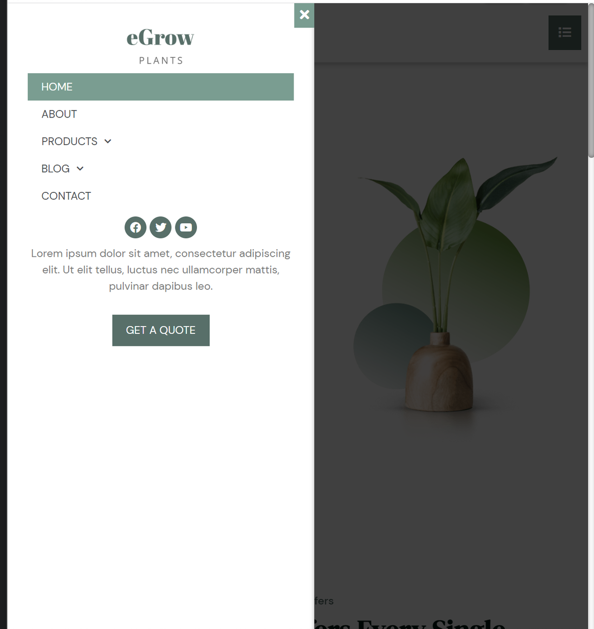 NUTSWP最新B2B外贸模板上线（清新外观） - 哔哩哔哩