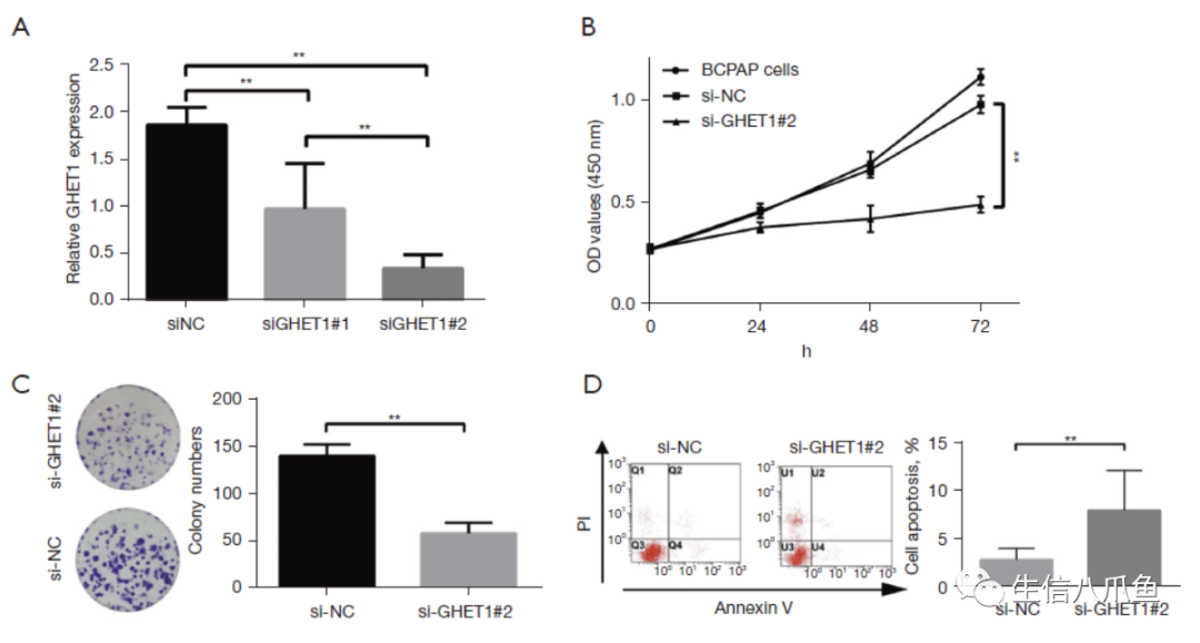 大师兄手把手带你高效科研数据作图入门-GraphPad Prism系列 - 哔哩哔哩