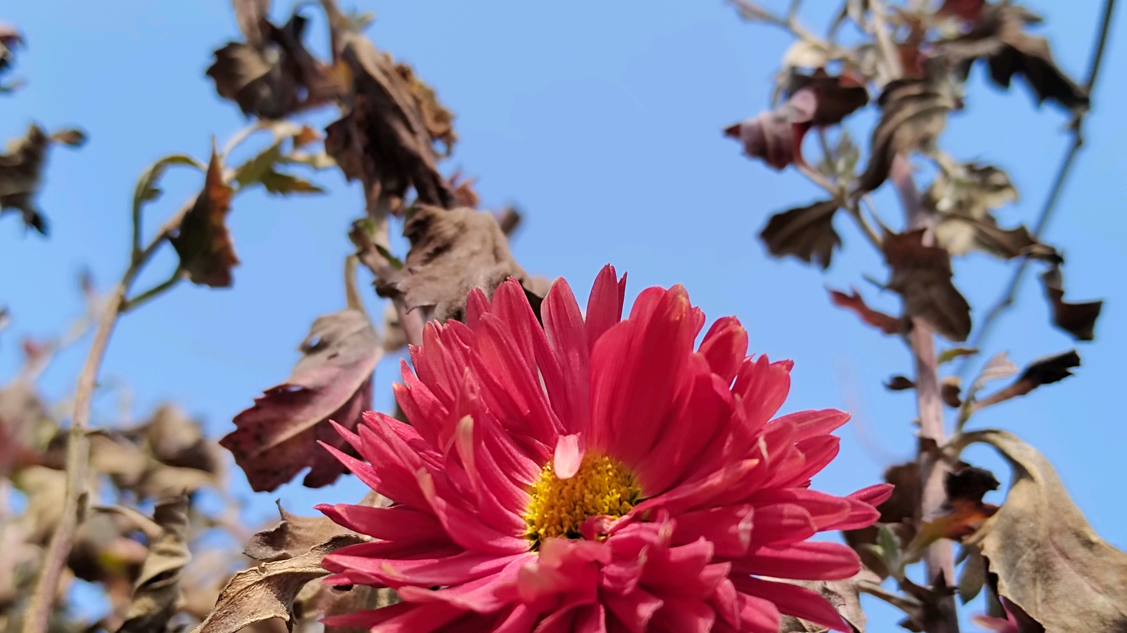 晚九闲记｜day7｜一周纪念 - 哔哩哔哩