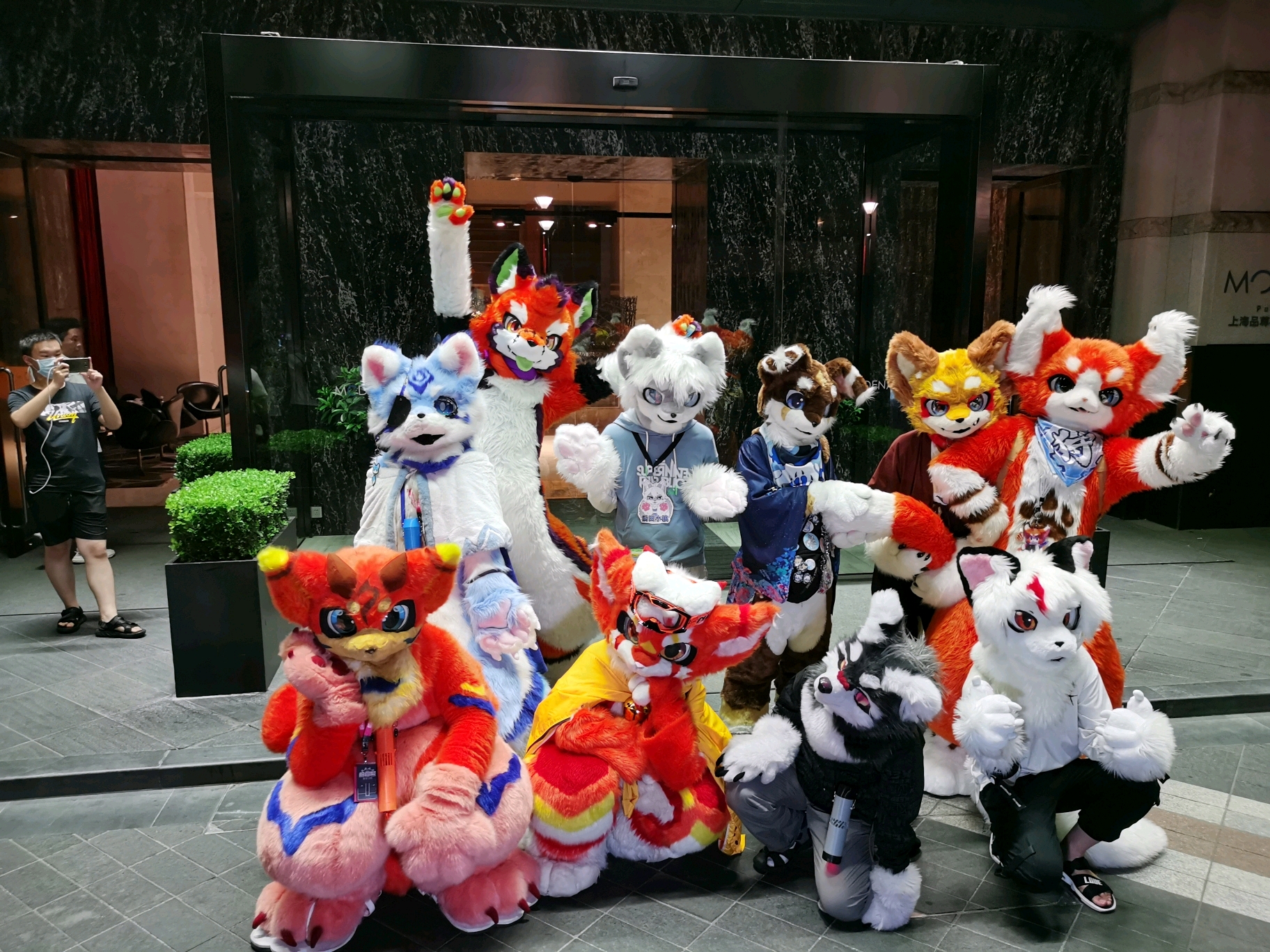 FURRY图片合集 第七期 - 哔哩哔哩