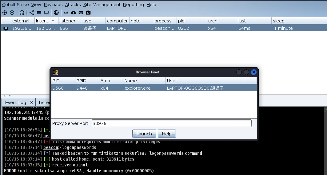 Cs4.9下载及使用 - 哔哩哔哩