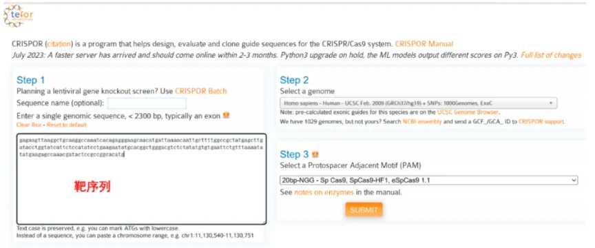 手把手教学——CRISPR-Cas9系统：sgRNA的设计及质粒构建 - 哔哩哔哩