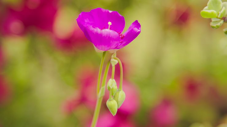 Z CAM E2-F6全画幅6K电影机评测 - 哔哩哔哩