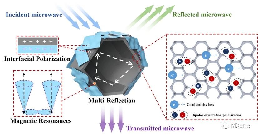 仿生MOF/MXene吸波 | JCIS | 受生物启发的双金属ZIF衍生中空碳/MXene高效吸波复合材料 - 哔哩哔哩