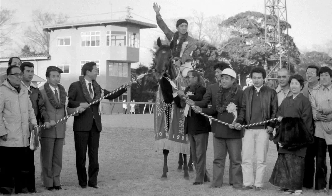 【全图鉴】日本JRA年度代表马（1954-2022） - 哔哩哔哩