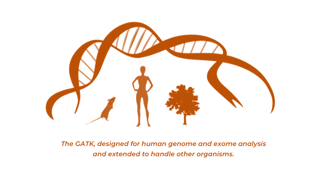 GATK官方教程 / 概述及工作前的布置 - 哔哩哔哩