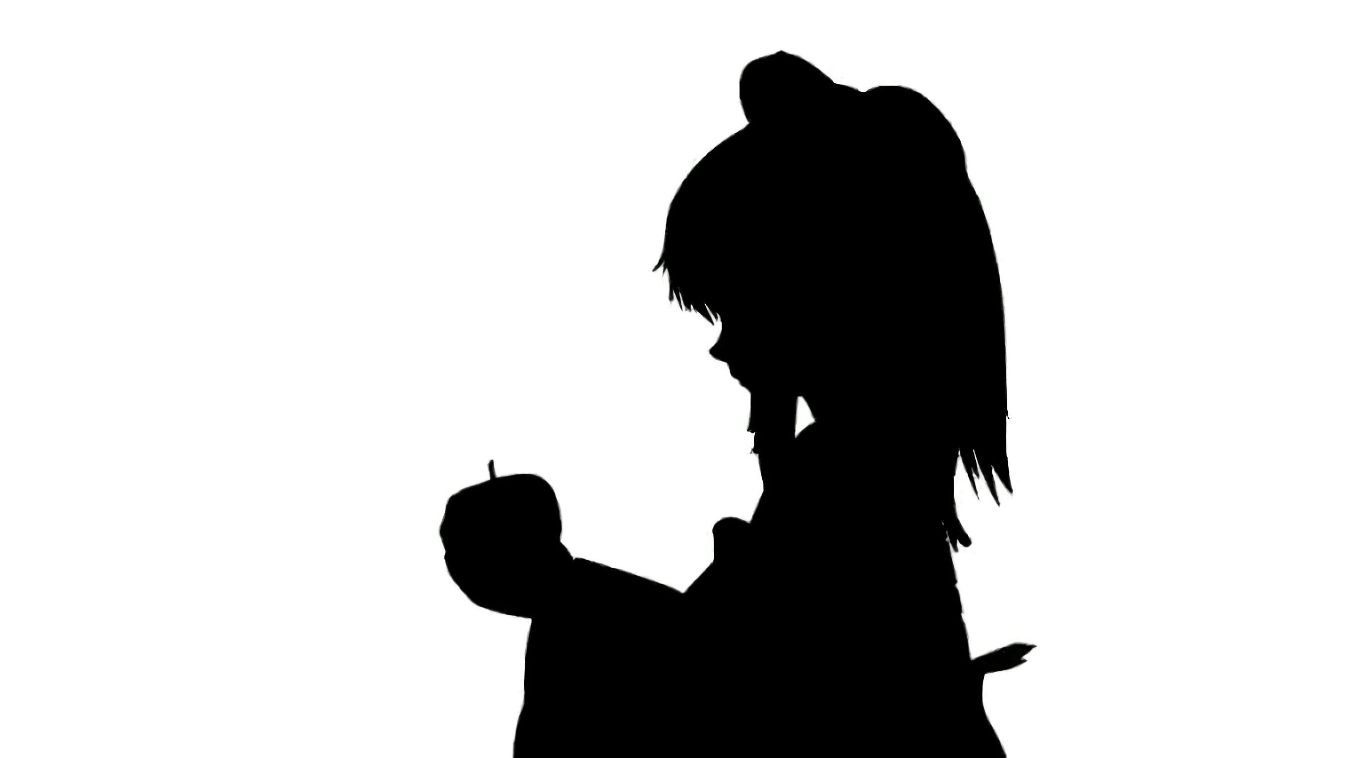 Bad Apple!! 是怎样炼成的 - 哔哩哔哩