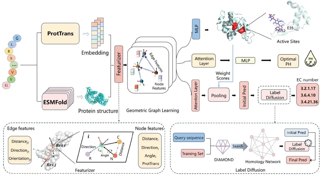 Nature Communications | 基于ESMFold预测结构的几何图学习以准确预测酶功能 - 哔哩哔哩