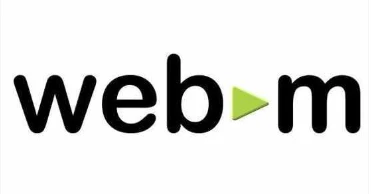 PR如何优雅的支持webm视频格式 - 哔哩哔哩