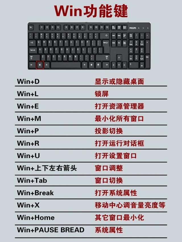 教程丨键盘上的各按键的作用与常用办公快捷键大全 哔哩哔哩